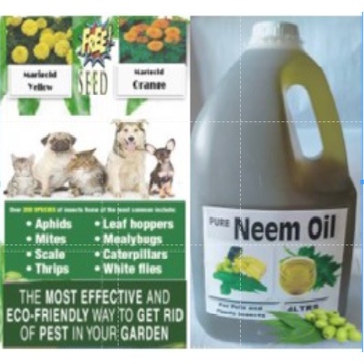 Pure Neem Oil for Plants and Pets (PURE 4 liters/gallon) | Shopee Philippines
