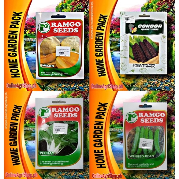 MELON / PECHAY / PURPLE CORN / WINGED BEAN SEEDS ( CONDOR / KANEKO ...