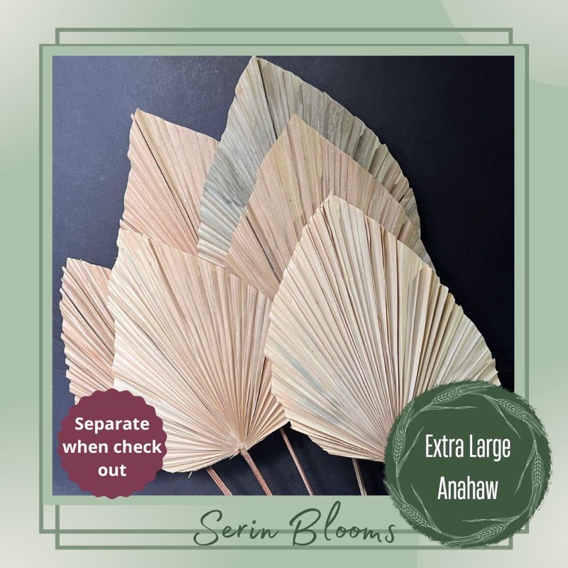 Extra Large Anahaw Sold per piece (Must separate when check out ...