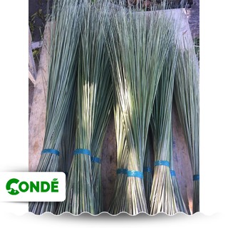 Walis tingting or broom sticks made of Kaong or Sugar Palm midribs ...