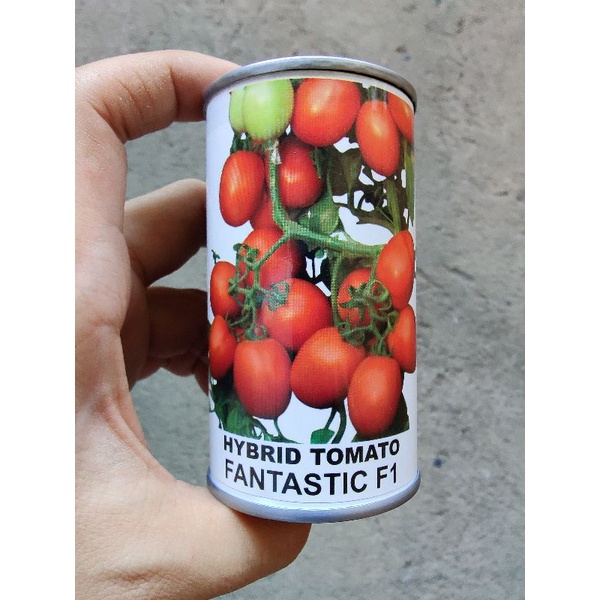 CONDOR SEEDS - TOMATO SEEDS - FANTASTIC F1 HYBRID 560 Seeds - JR CAN ...