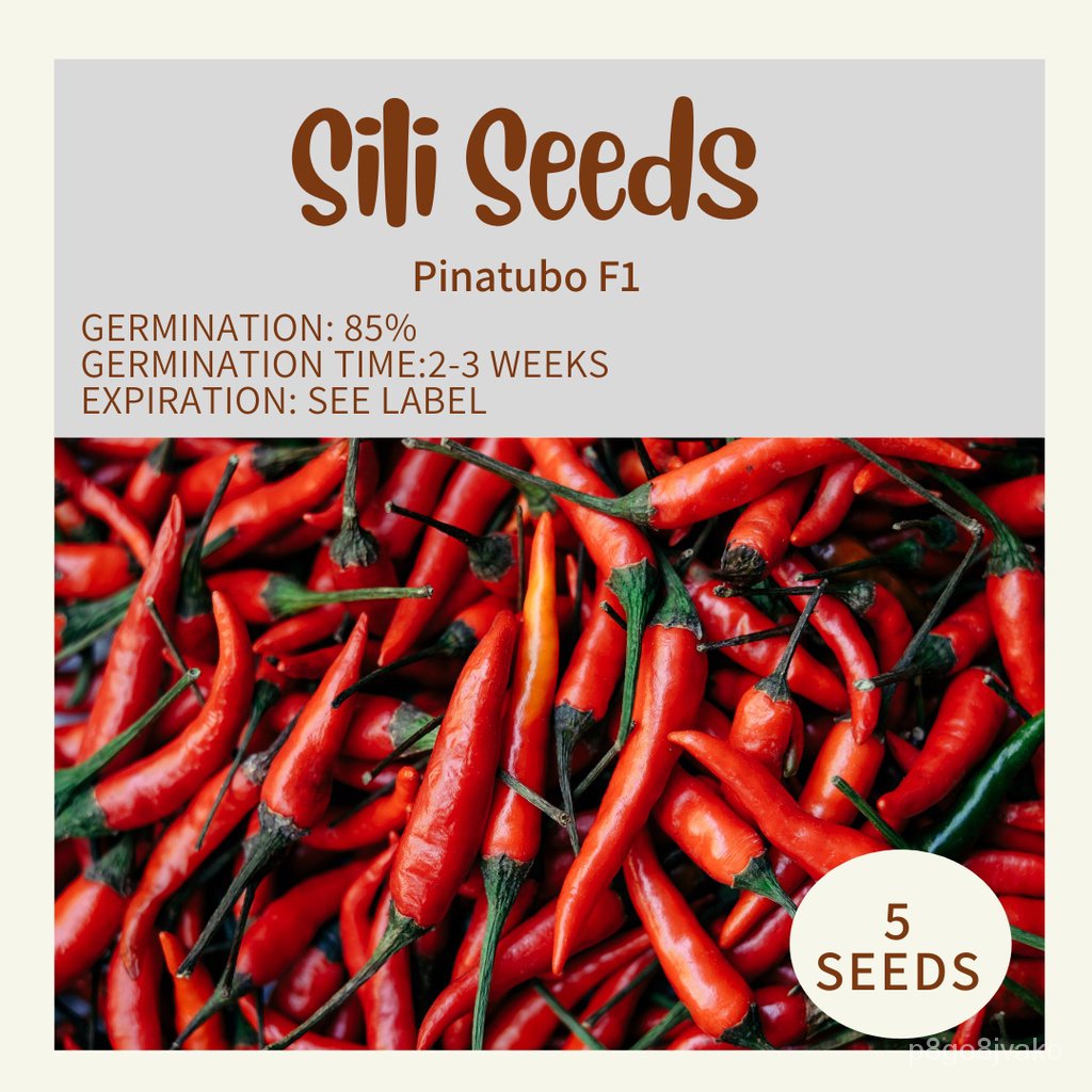 cash on delivery 5 PESOS Plant Seeds Sili/ Pepper Seeds / Taiwan ...