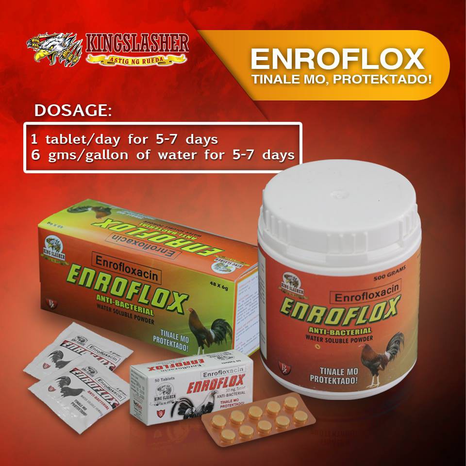King Slasher Enroflox 6g x 48 sachet Anti-Bacterial Water Soluble ...
