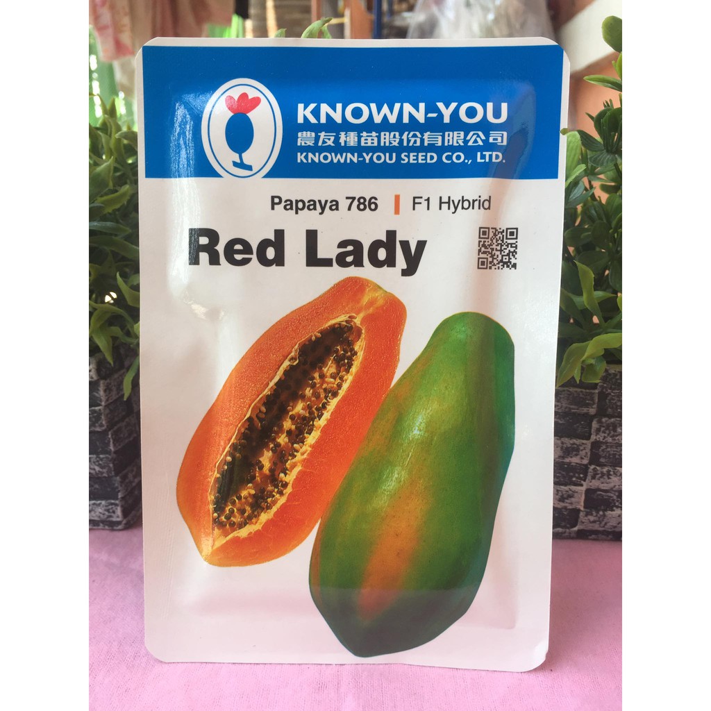 Papaya Red Lady F1 hybrid 5gms Known You (approx. 380 seeds) | Shopee Philippines