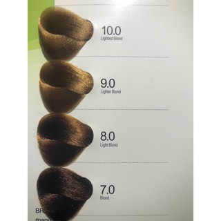 bremod hair color 100ml (natural colors: blond, dust, black, light ...