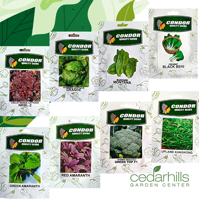 CONDOR SEEDS Leafy Vegetables By: Cedarhills Garden - Lettuce/Pechay ...
