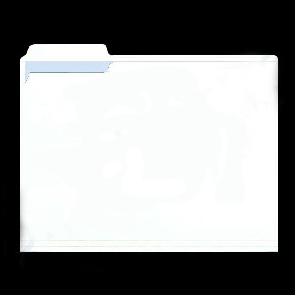 White File Folder 14 pts | Shopee Philippines
