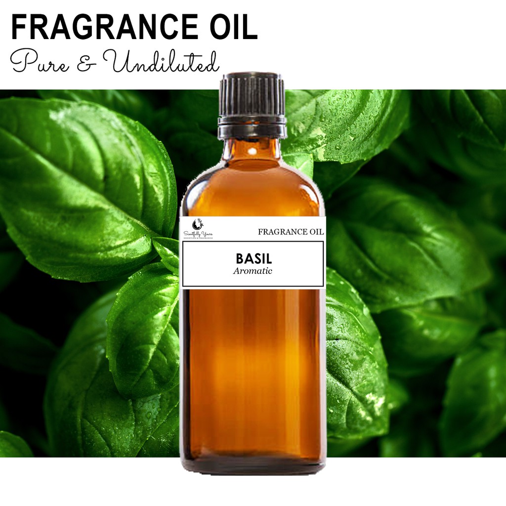 BASIL - Aromatic Fragrance Oil (500ml - 1 Liter) | Shopee Philippines