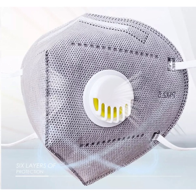 PM2.5 Face Mask ( 1 piece ) | Shopee Philippines