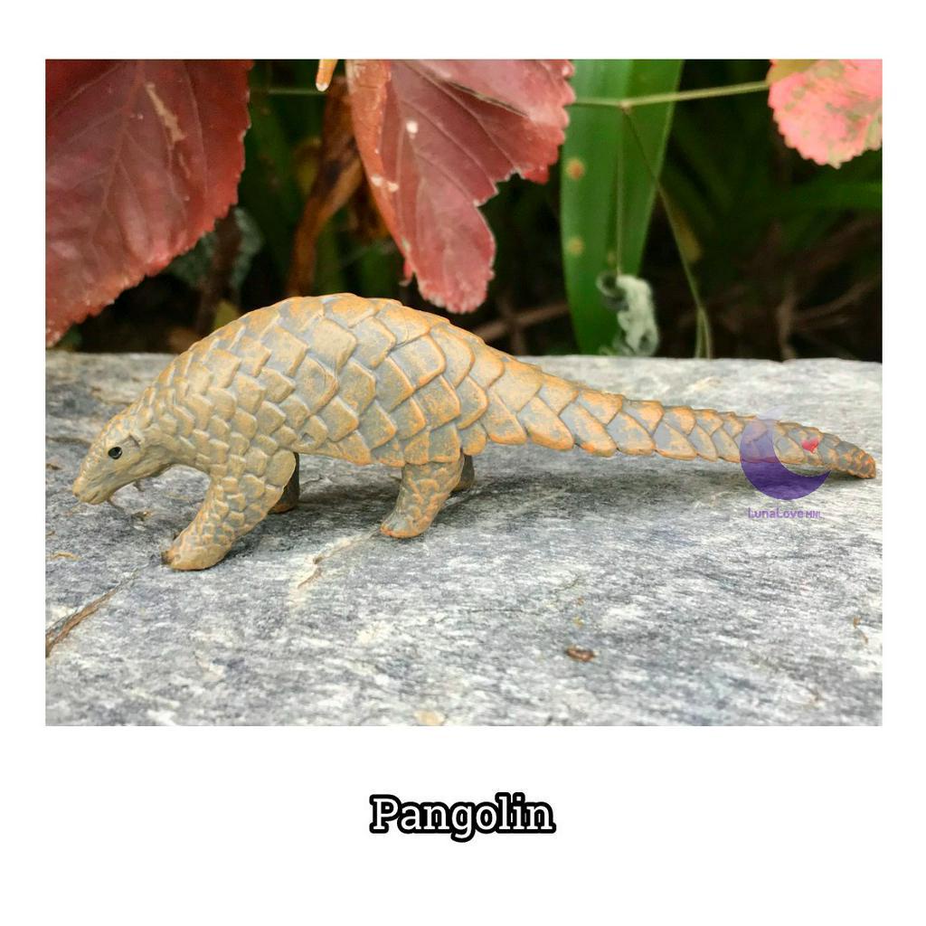 Pangolin | Toy Animal | Science | Children’s Toy | Shopee Philippines