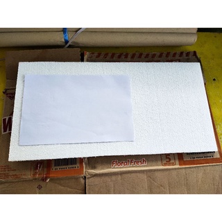 1ft x 2ft StyroFoam Styro Board - [1/2 inch Thick] | Shopee Philippines