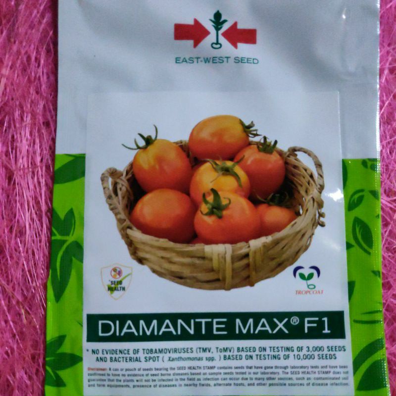HYBRID TOMATO SEEDS DIAMANTE MAX F1 SACHET 500+ SEEDS EAST-WEST SEEDS ...
