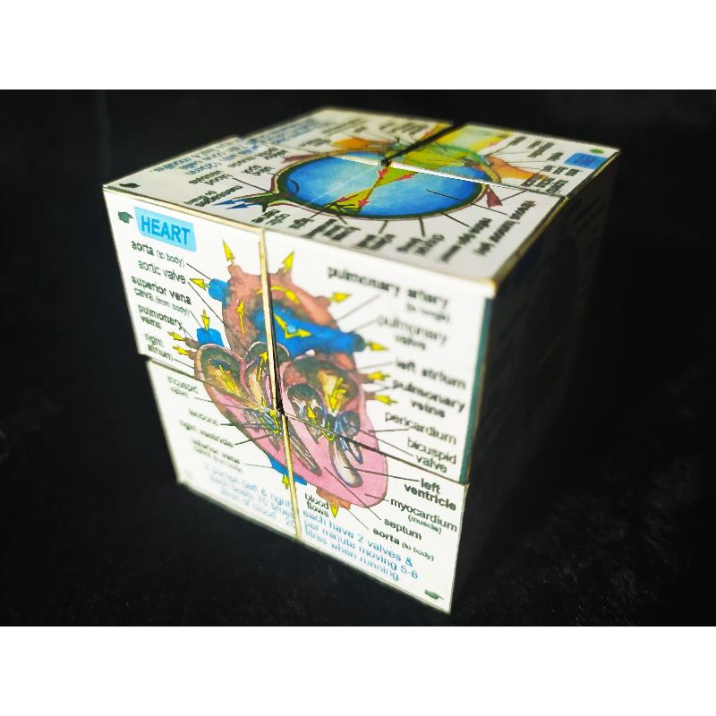 Human Body Miniature Cube | Shopee Philippines