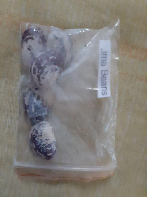 lima beans butter legumes vegetable seeds patani | Shopee Philippines