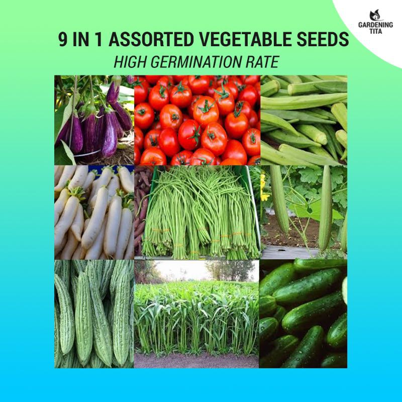 9 in 1 Assorted Vegetables Seeds Sulit Pack for Planting | Shopee ...