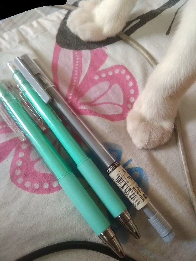 Deli Black Gel Carbon Pen 0.38mm Linfini Series A025B-01 | Shopee ...