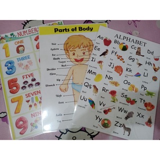 Mga Bahagi ng Katawan Learning chart tagalog Laminated | Shopee Philippines