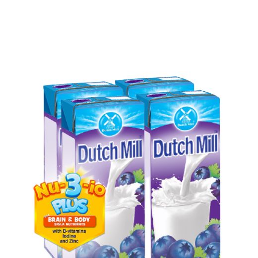 Dutch Mill Yoghurt Drink Blueberry Juice 4 Packs 180mL | Shopee Philippines