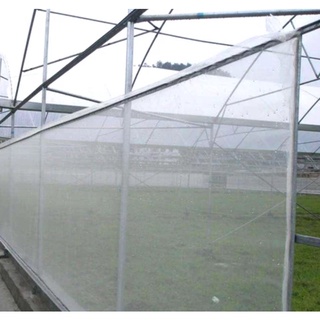 3m width Anti Insect Net White | Fine | Mesh | Greenhouse Agriculture ...