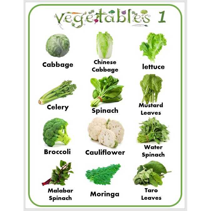Laminated chart Vegetables-1 Educational Laminated charts for kids ...