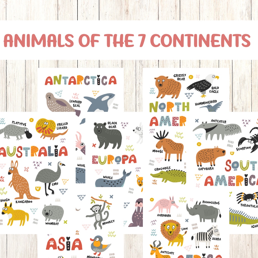 A4 A3 Cute Animals of Seven Continents, Educational Chart Poster for ...