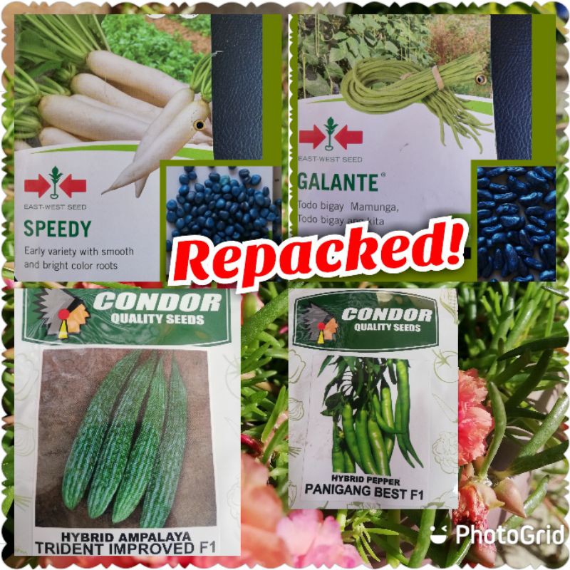 QUALITY VEGETABLE SEEDs (repacked) | Shopee Philippines