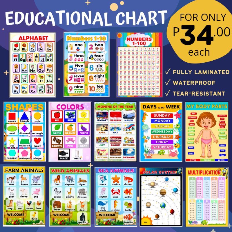 Laminated Educational Chart: Alphabet, Numbers, Lines, Shapes and more ...