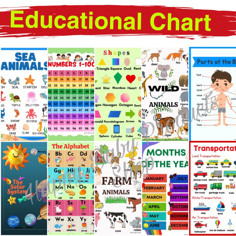A4 Laminated Educational Chart | Shopee Philippines