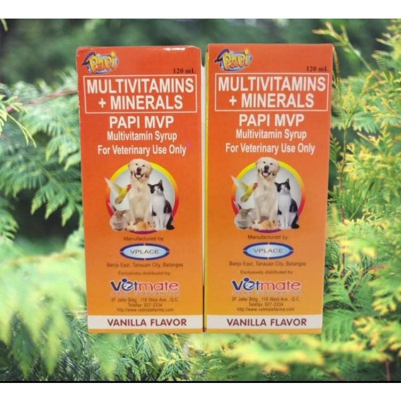 Papi MVP Multivitamin Syrup (120ml) | Shopee Philippines Papi MVP Multivitamin Syrup (120ml) | Shopee Philippines