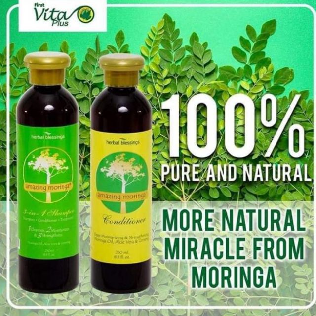 MORINGA SHAMPOO and MORINGA CONDITIONER 250 ml. | Shopee Philippines