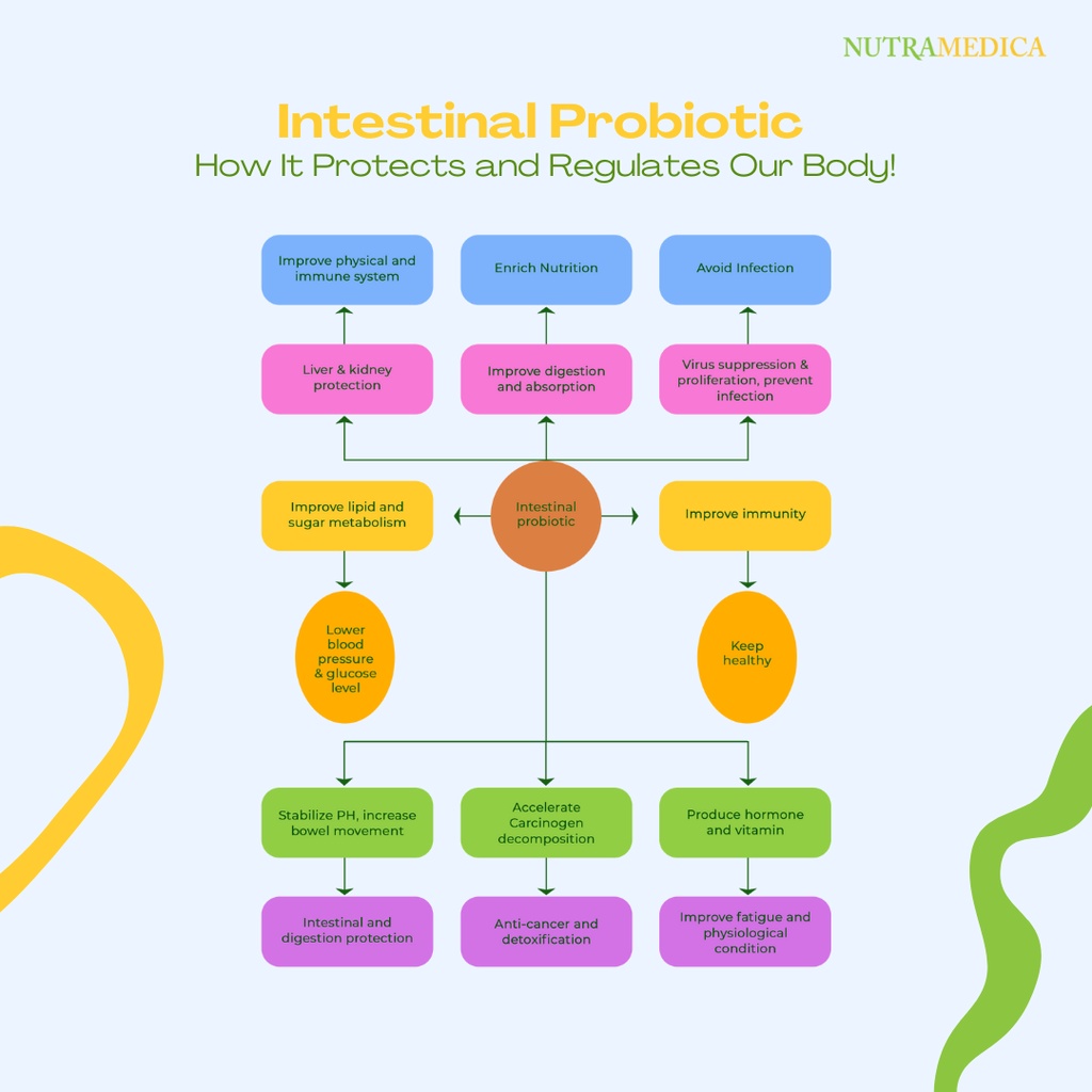 Lactozinc (Probiotics + Zinc) 2g 60 Sachets Food Supplement Powder ...