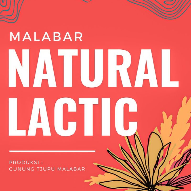 Malabar Natural Lactic Green Bean 1 KG - Fermented Arabica Bean - 1 KG ...