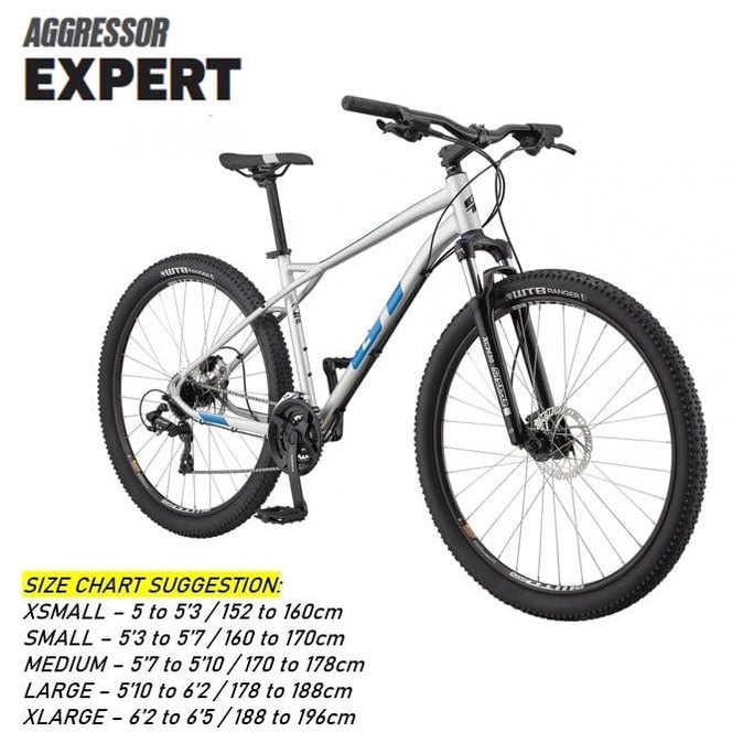 2022 GT Aggressor Expert (29") Silver Mountain Bike | Shopee Philippines