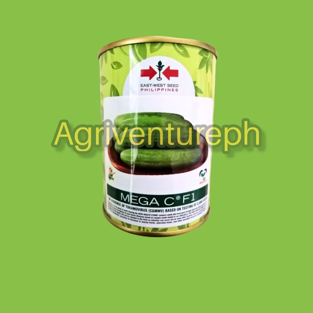 MEGA C F1 (50G) HYBRID CUCUMBER BY EAST WEST SEEDS APPROX 2500 SEEDS ...