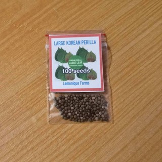 Large Leaf Korean Perilla | Perilla Korean | Large Korean perilla Seeds ...