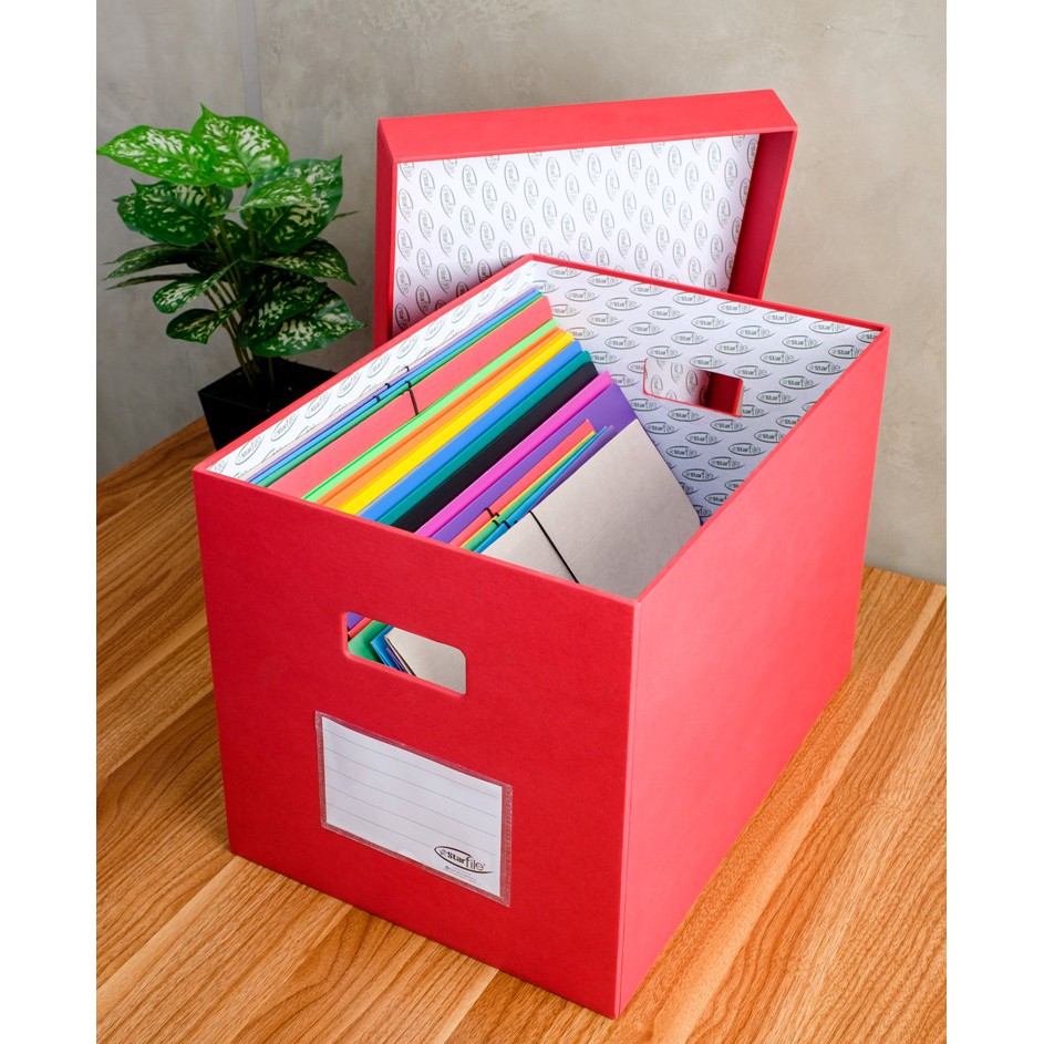 Starfile Storage Box - ( Arlin/ Buffalo Skin) | Shopee Philippines