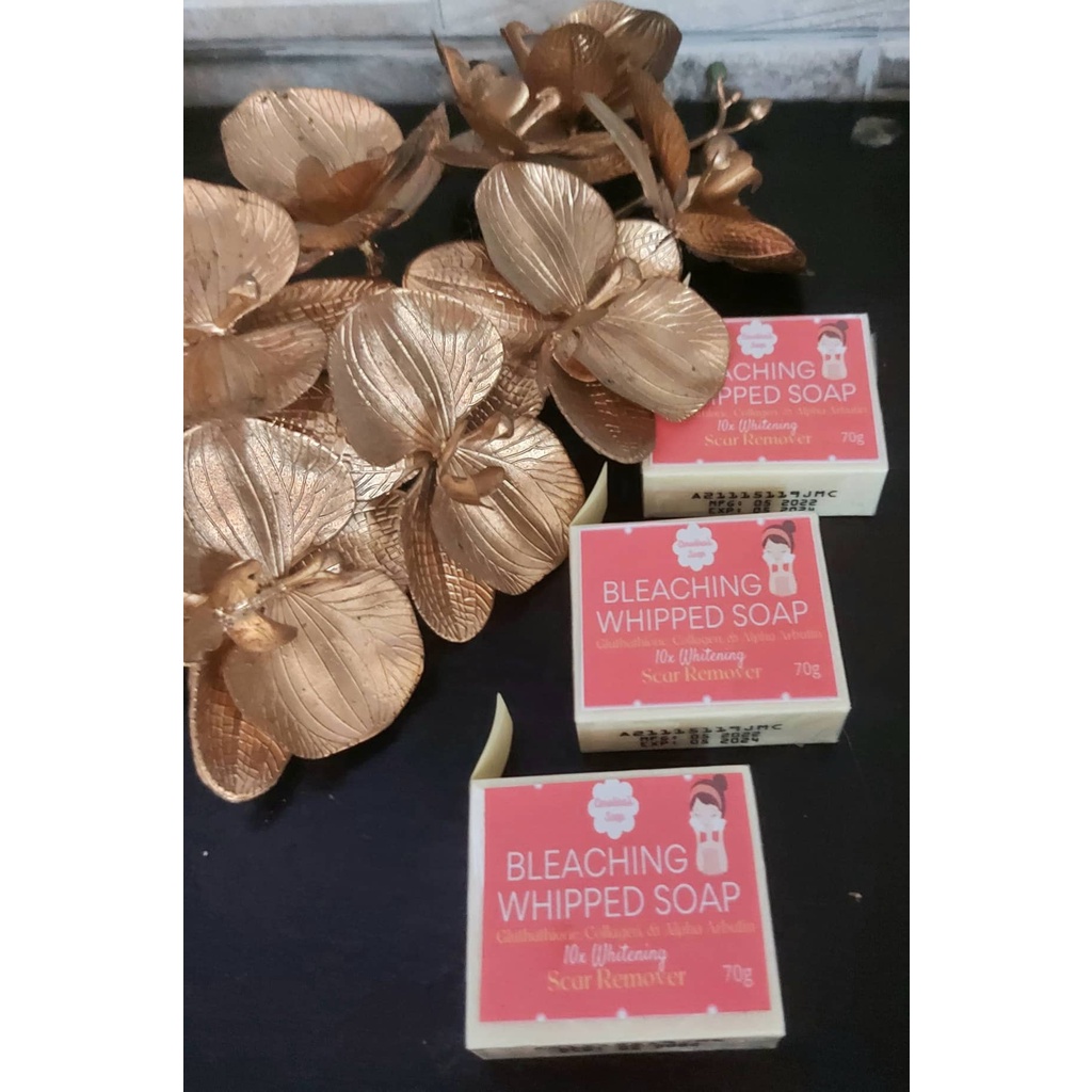 BLEACHING WIPPED SOAP & SCAR REMOVER WITH FREE MESH NET CASH ON ...