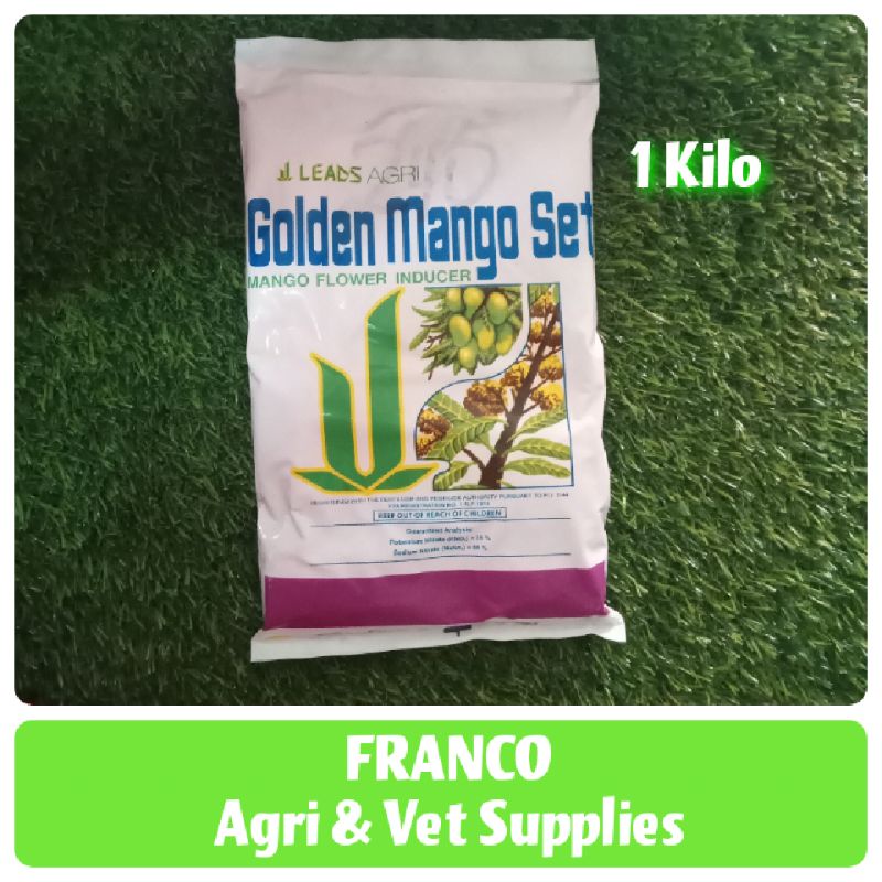 Golden Mango Set 1 Kilo ( Mango Flower Inducer ) | Shopee Philippines