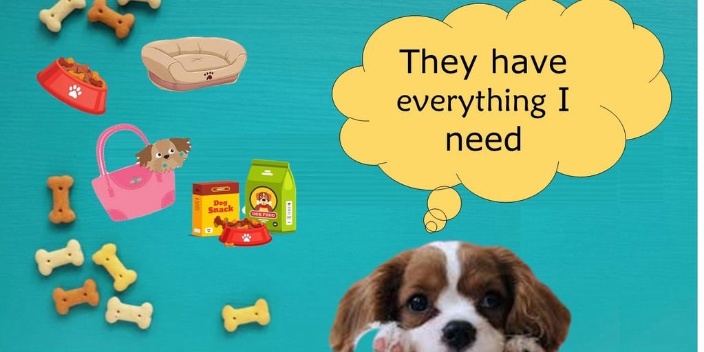 pet cute store, Online Shop | Shopee Philippines