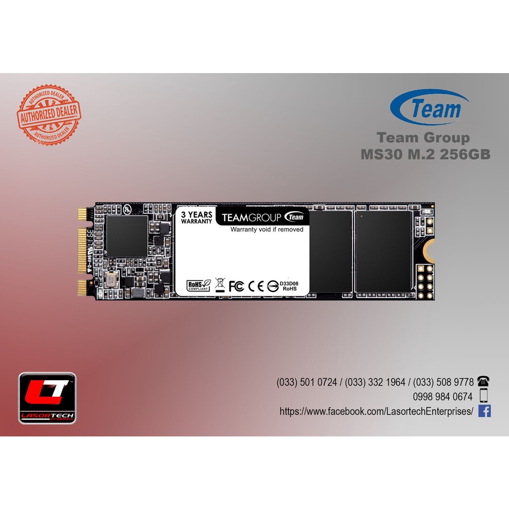 Team Group MS30 M.2 SATA SSD Sata III 6Gb/s - 256GB | Shopee Philippines