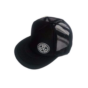 Tau Gamma Phi TGP Flat visor Snapback Net cap Triskelion Frat cap ...