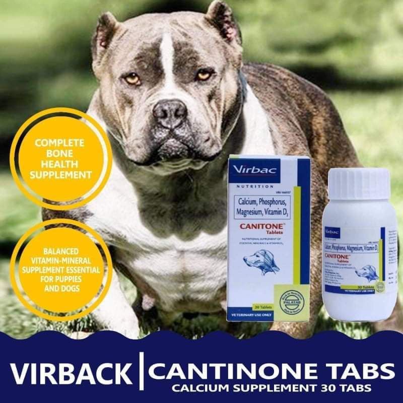 Virbac Canitone 30Tabs (Calcium Supplement) | Shopee Philippines