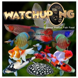 WATCHUPONG Fish Feed Granules Pellets Powder | Shopee Philippines