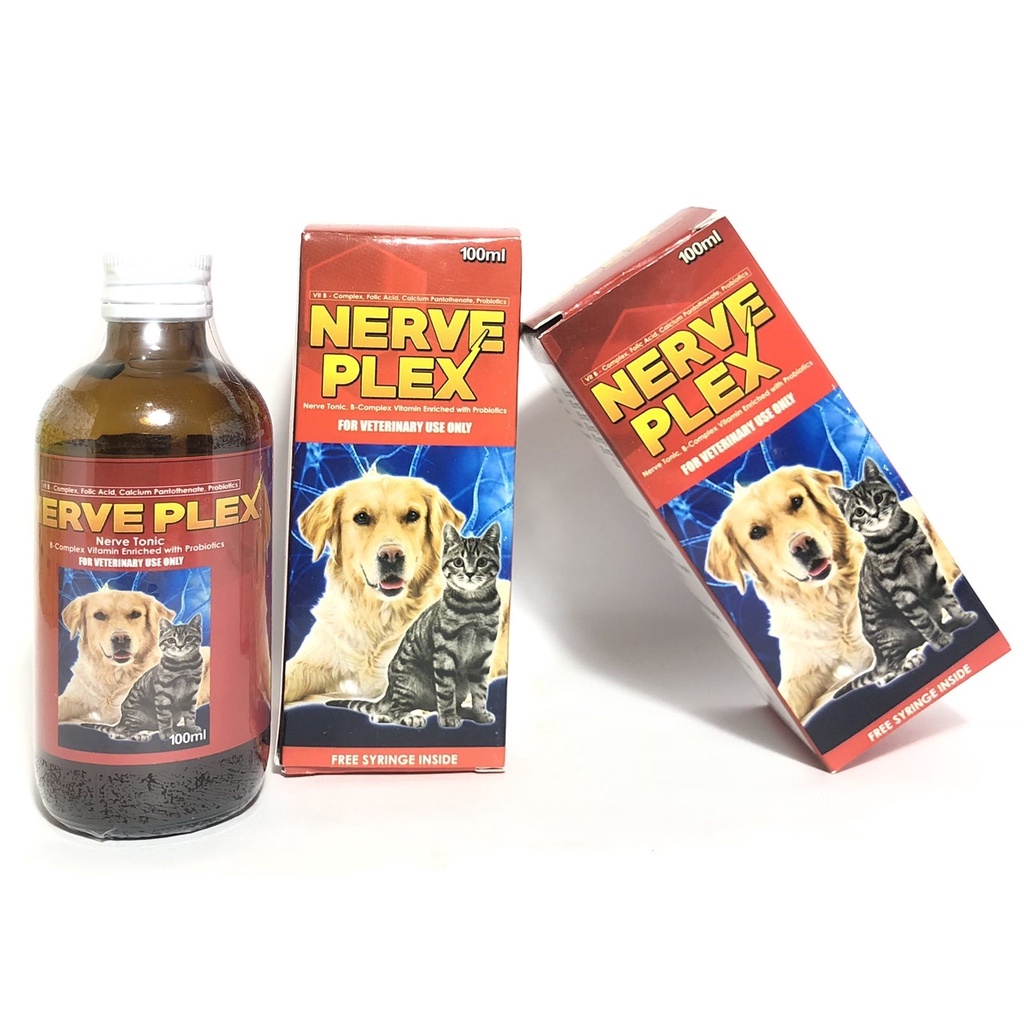 Is B Complex Good For Dog