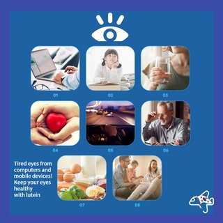 Food bucket/Kim seon ho LUTEIN/60 capsules/Good for eyes/KOREAN LUTEIN ...