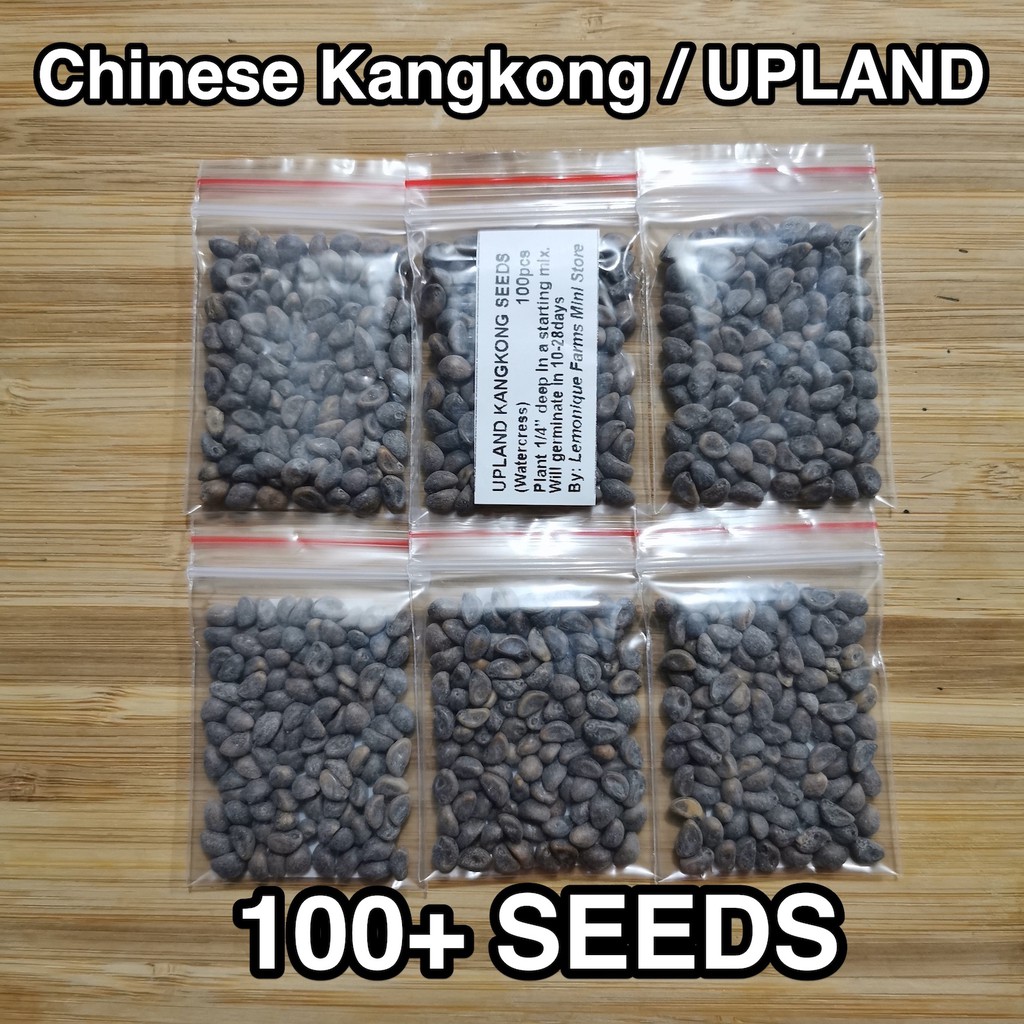 100seeds chinese kangkong UPLAND seeds | Shopee Philippines