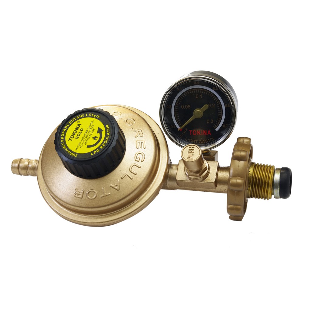 Tokina Gold Series MGas Regulator w/ Adjustable Flow Control | Shopee ...