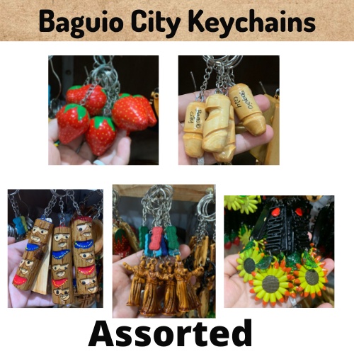 5pcs Baguio Strawberry and other designs keychains for souvenirs ...