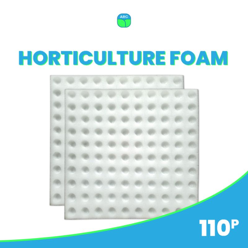 Horticulture Foam 100pcs | Shopee Philippines