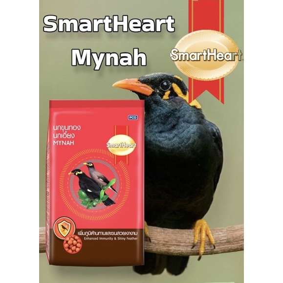 Smartheart mynah food 1kg 400g | Shopee Philippines